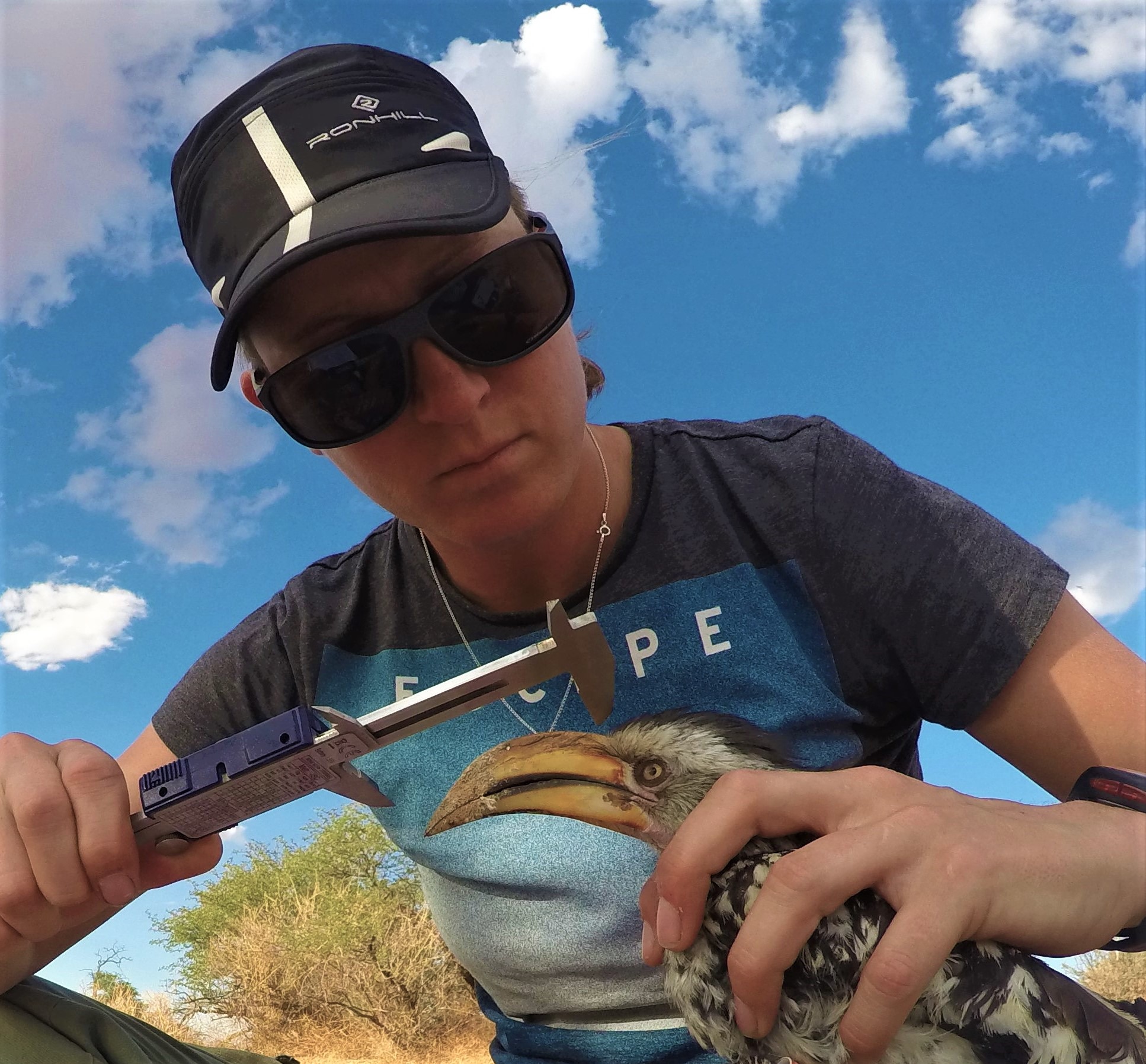 Skukuza – the First Taste of Kruger! – Field Notes