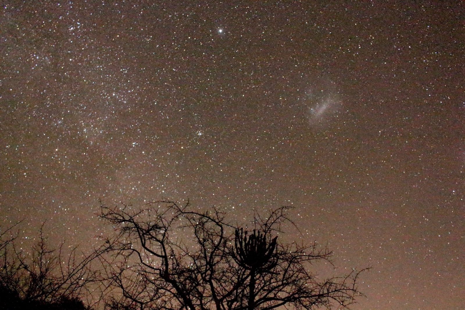 Lasting Impact in HaMakuya – Field Notes